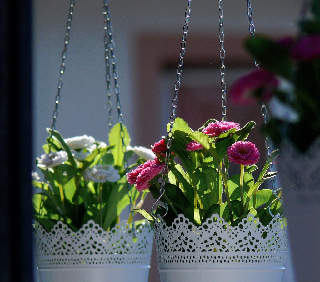 Jak si můžete jednoduše zavěsit rostliny ze stropu | Náš dům
